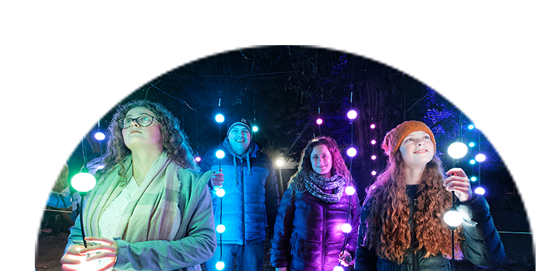 Our Light Trails | Luminate UK Winter Illuminations